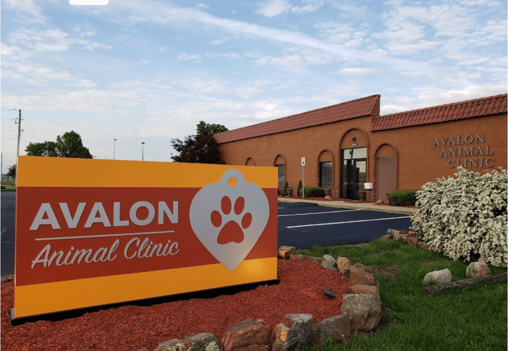 Doppler Regional Networks | Veterinary Hospitals
